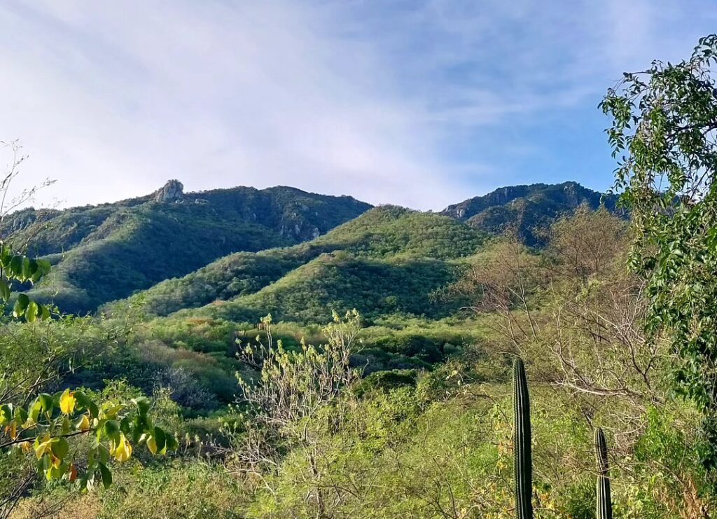 Experiences – Alamos Mexico